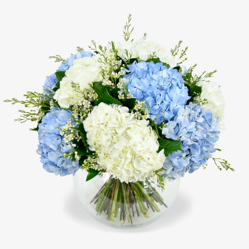 Hydrangea Delight | هيدرينجيا ديلايت | Luxury Flower Bouquet Delivery ...